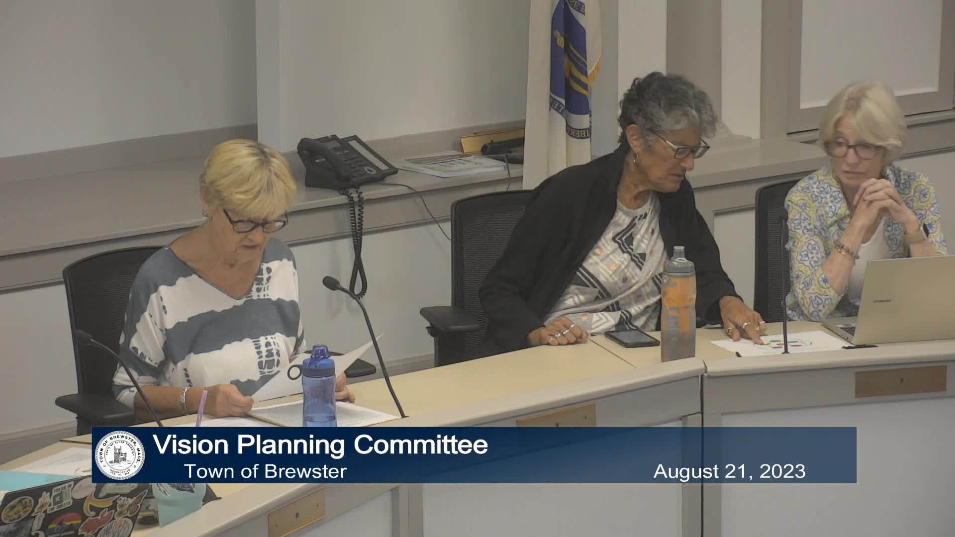 Vision Planning Committee 8-21-2023
